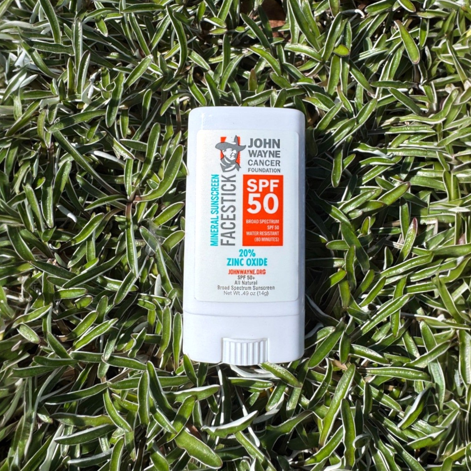 Block the Blaze Facestick Sunscreen - SPF 50